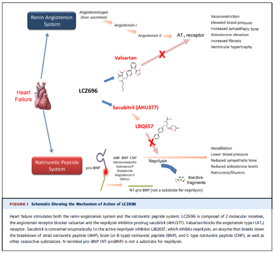 Valsartan/sacubitril (Entresto): Mechanism | Medicine Specifics